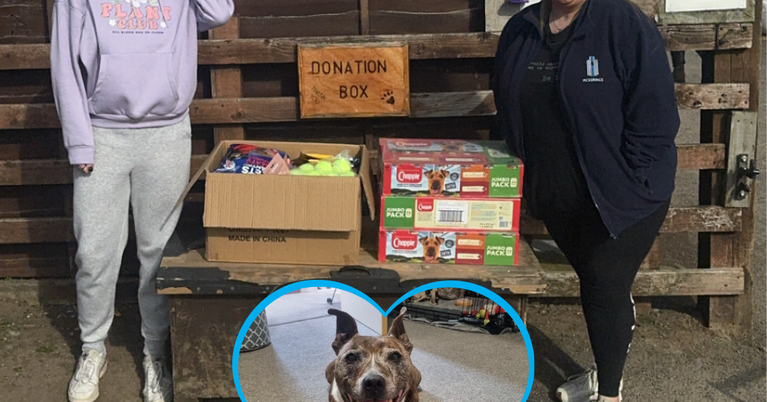National Pet Day donation to dog charity Maxi's Mates